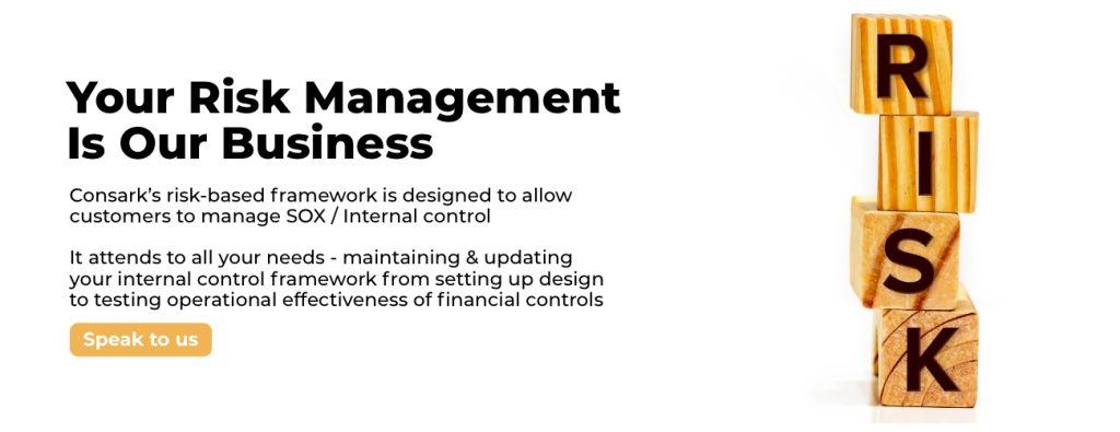 Risk Assurance – Consark